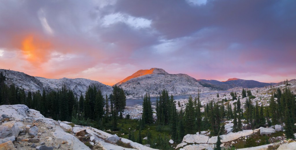 In-Flight Project – In-flight Project